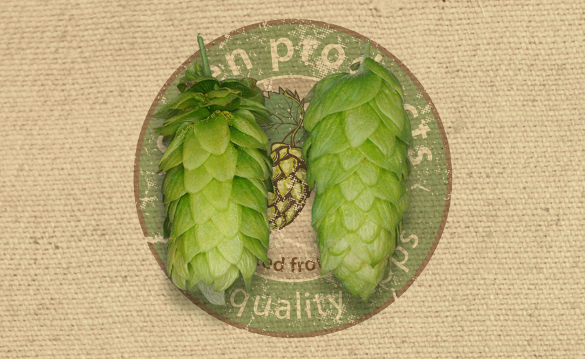 Hops of first-class quality out of the Hallertau. Hops Pellets and more